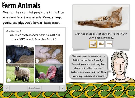 Iron Age Wales Daily Life Of The Celts Resources Museum Wales