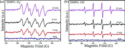 DMPO Spin Trapping ESR Spectra With C W N Sample Of A DMPO O 2 And