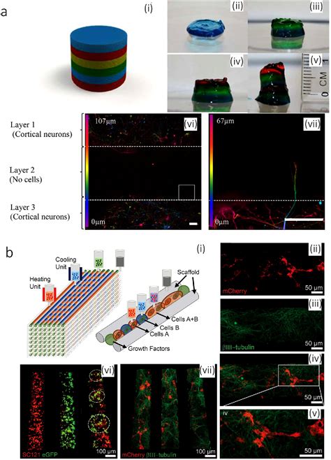 Figure 5 From A Review On 3D Printing Functional Brain Model Semantic