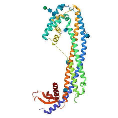 Rcsb Pdb 7zet Crystal Structure Of Human Clusterin Crystal Form I