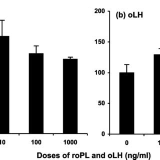 Progesterone Secretion By Explants Of Sheep CL From Day 60 Of Pregnancy Download Scientific