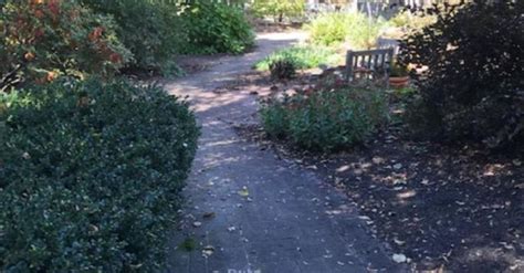 How To Make The Right Decisions Faster Kathy Strobl Posted On The Topic Linkedin