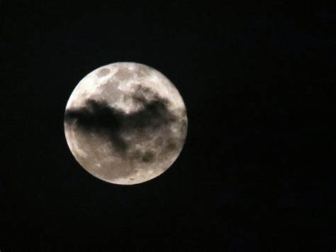 Luna Llena 2023 Cómo Será El Calendario De Las Fases Lunares Infobae