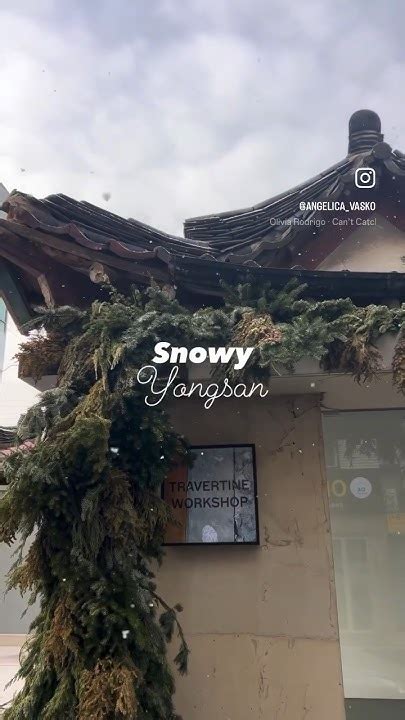 Снежный Сеул ️ Korea Koreavlog жизньвкорее Korean корея кореявлог сеул Youtube