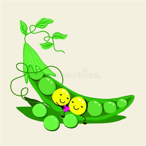 Two Peas Pod Stock Illustrations 73 Two Peas Pod Stock Illustrations