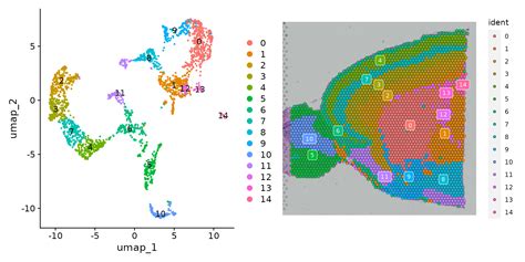 Analysis Visualization And Integration Of Spatial Datasets With