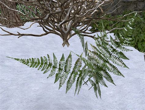 Second Life Marketplace Fern Weed Winter Mesh Full Perm