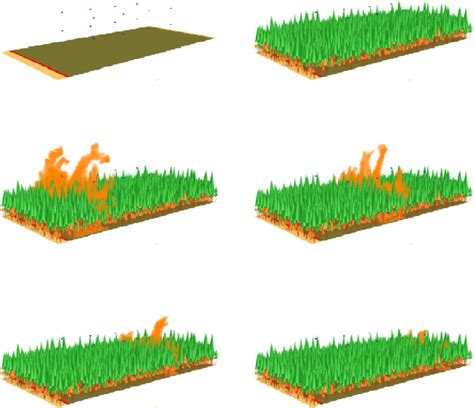 Example Of Computational Domains Cone Locations A Forest Canopy Download Scientific Diagram
