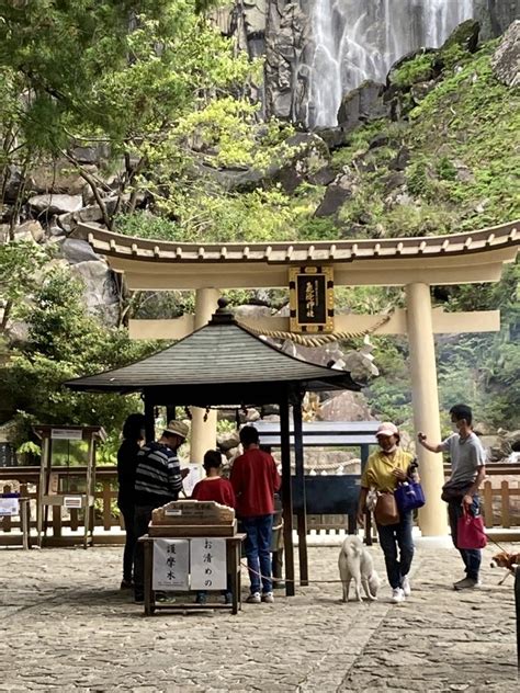 世界遺産飛龍神社那智御瀧 シニア エンジニア 日記