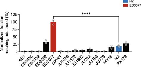 Tunicamycin Resistance Phenotypes Of Wild C Elegans Isolates The