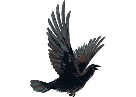 까마귀 나는 새 블랙 까마귀 파리 검은 Png 일러스트 및 Psd 이미지 무료 다운로드 Pngtree