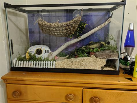 New Ball Python Owner Wanting Tips On My Setup Rballpython