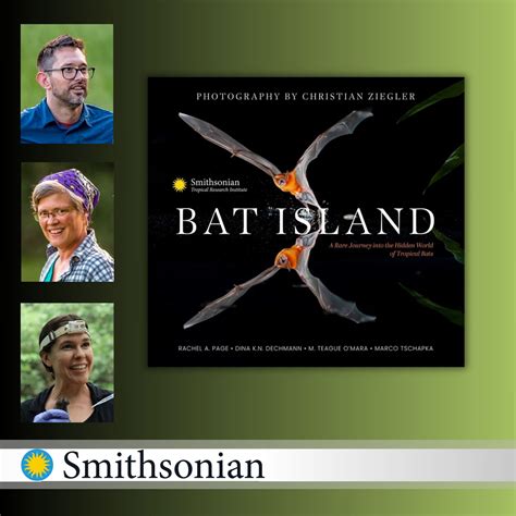 A Journey Into The Hidden World Of Tropical Bats With Scientists From