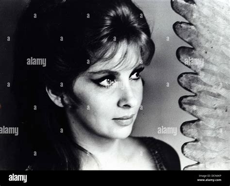 Gina Lollobrigida Fotos Fotos Und Bildmaterial In Hoher Auflösung Alamy