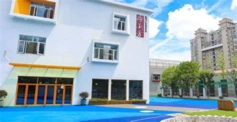 卷出天际上海一幼儿园拟设理科班教国外数学竞赛教育局最新回应 腾讯新闻