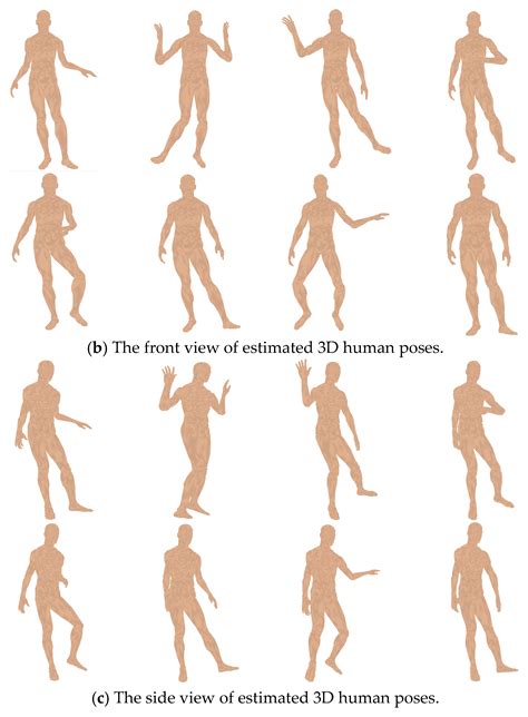 Reconstructing Three Dimensional Human Poses A Combined Approach Of Iterative Calculation On