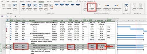 13 Update Project Microsoft Project Master Learning Program MS Project Master Class