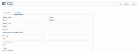 Create Project From Template Api Working With Custom Objects