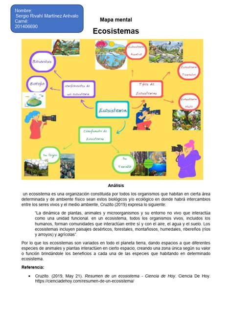 Mapa Mental Ecosistemas Pdf