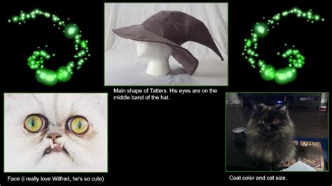 Lfa Baba Meowga An Old Scraggly Kitty With Dark Estrange Powers