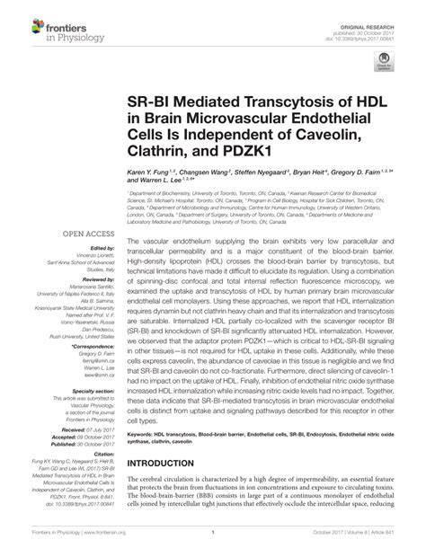 PDF SR BI Mediated Transcytosis Of HDL In Brain Microvascular
