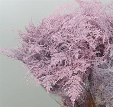 Pink Asparagus Fern Flower Centerpieces Wedding Flower Centerpieces