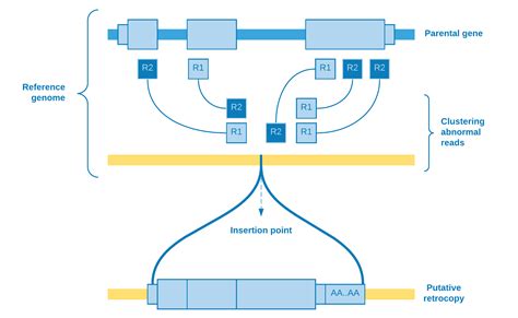 Methodology — Sideretro Documentation