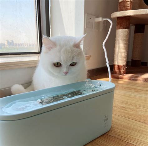 猫卜力moboli River 猫咪自动饮水机 博派创意礼品小铺