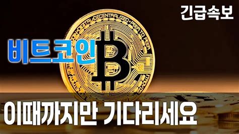 비트코인 전망 이때까지만 기다리세요 비트코인 비트코인전망 비트코인호재 코인토피아 Youtube