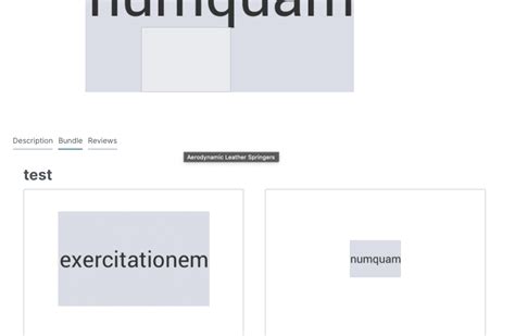 Overwriting Tabs Does Not Work · Issue 45 · Shopwarearchiveswag Docs