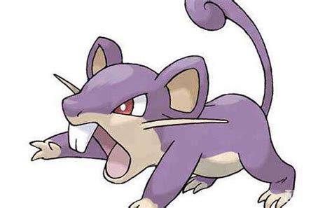 宝可梦大探险小拉达精灵技能选择及宾果推荐 宝可梦探险寻宝 酷乐米