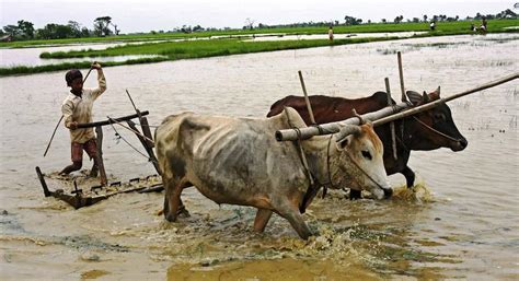 The Most Devastating Natural Disasters Of The 21st Century