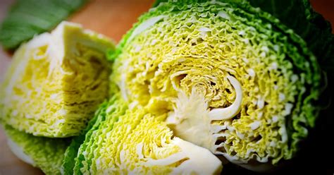 배추 꿈 해몽 15가지 배추를 뽑는 큰 절임배추 절인 배추밭 배추김치 사는 받는 보는 배추가 보이는 쌓여있는 많은 노란 파란 자르는 물에 씻는