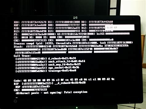 kernel panic not syncing fatal exception Linux系统管理 Chinaunix