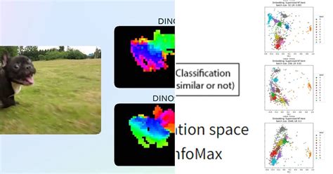 List Self Supervised Curated By Chen Oi Medium