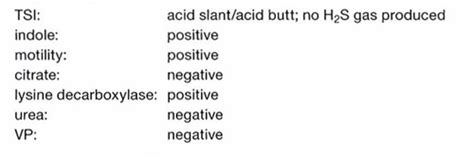 Escherichia Coli Identification Flashcards Quizlet