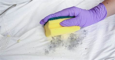 Comment enlever la moisissure dun tissu en toute sécurité 12 astuces