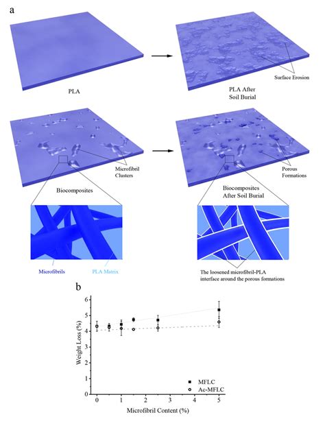 Schematic Illustration Of The Degradation Characteristic Of Pla And