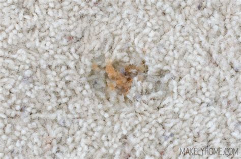How To Remove Rust Stains From Carpet