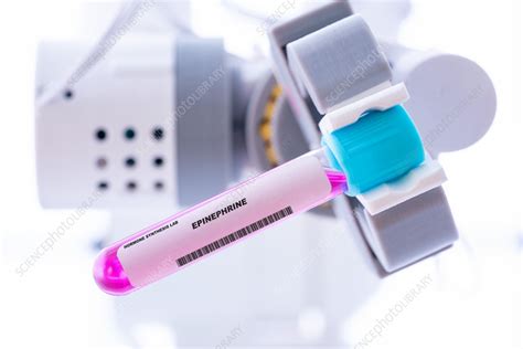 Epinephrine Hormone Conceptual Image Stock Image F036 7322