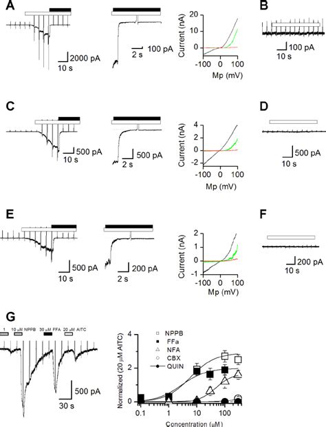 Rr Sensitive Activation Of Trpa1 By Putative Gap Junction Blockers A