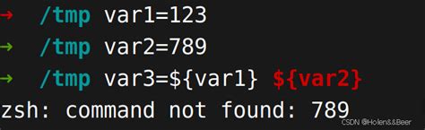 04 shell字符串变量 shell字符串拼接变量 csdn博客