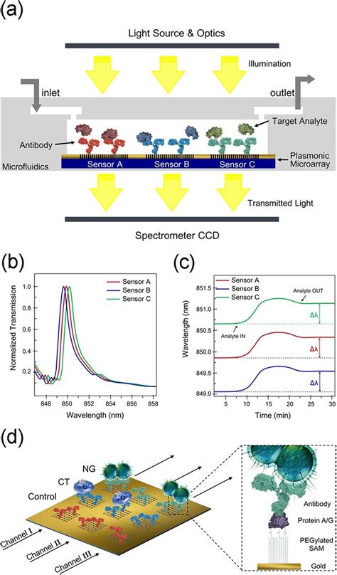 Schematics Of The Nanoplasmonic Biosensor Working Principle A