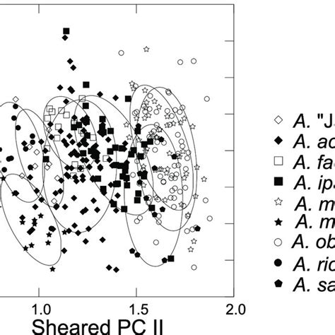 Plot Of Specimen Scores Of Pc Ii On Pc Iii From Pca Of 15 Distance