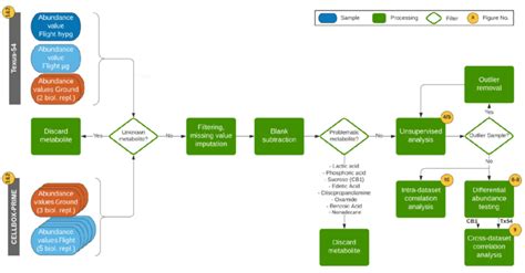 Workflow Schematics Of The Data Analysis Corresponding Figures From