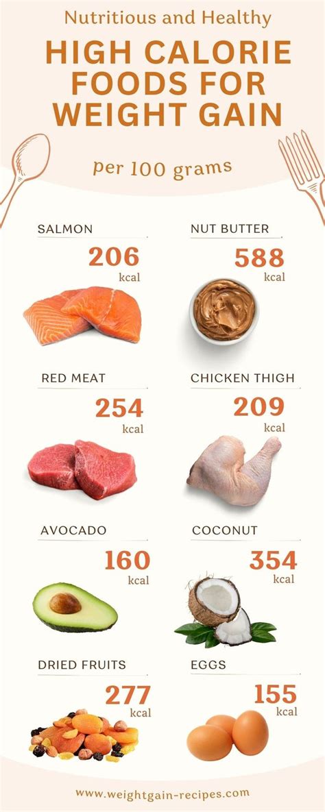 26 High Calorie Foods For Weight Gain Weight Gain Meals Weight Gain