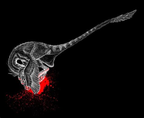 Velociraptors Killer Claws Helped Them Eat Prey Alive Live Science