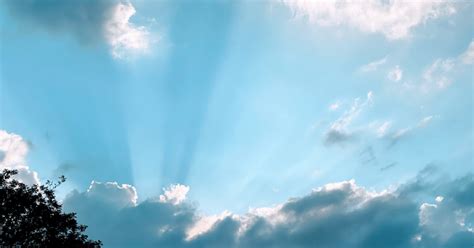 吉田青央 ︎ao Yoshida｜note