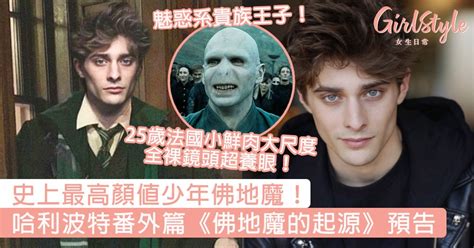 哈利波特番外篇《佛地魔的起源》少年佛地魔法國小鮮肉超養眼！