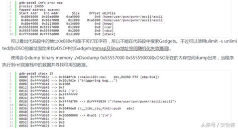 生成自己的alphanumeric Shellcode 每日頭條